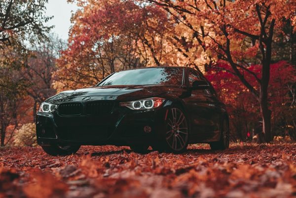 Top 10 Fall Car Care Service Tips - Ceramic Pro